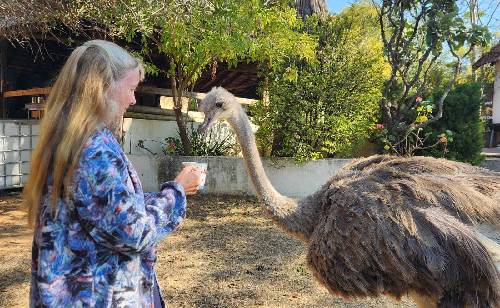 Services - Midrand Animal Behaviour Centre